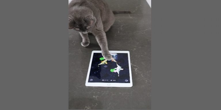 Friskies launches game designed for cats, 'Cat Fishing 2'